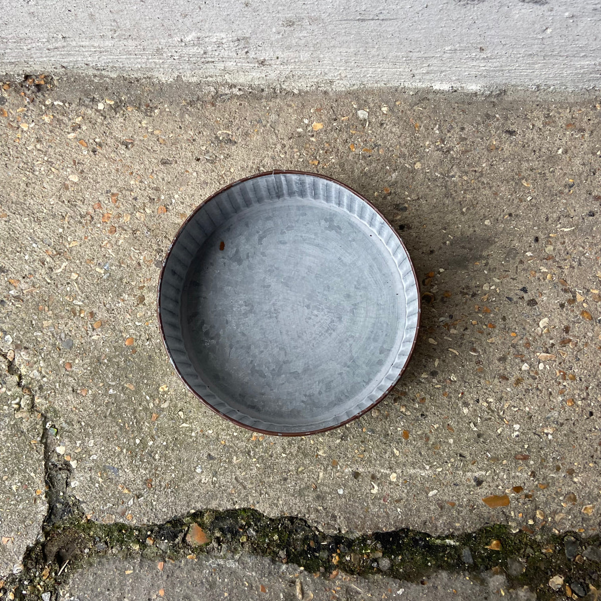 Kew Gardens Round Ribbed Zinc Cactus Planter – The Consortium ...