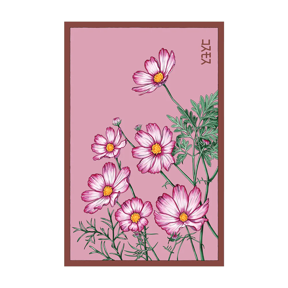 Cosmos Flower Seeds Packet – The Consortium