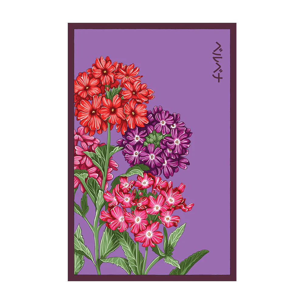 Verbena Flower Seeds Packet – The Consortium Winchester and Romsey ...