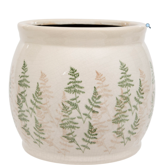 Fern Plant Pot – The Consortium Winchester and Romsey Hampshire