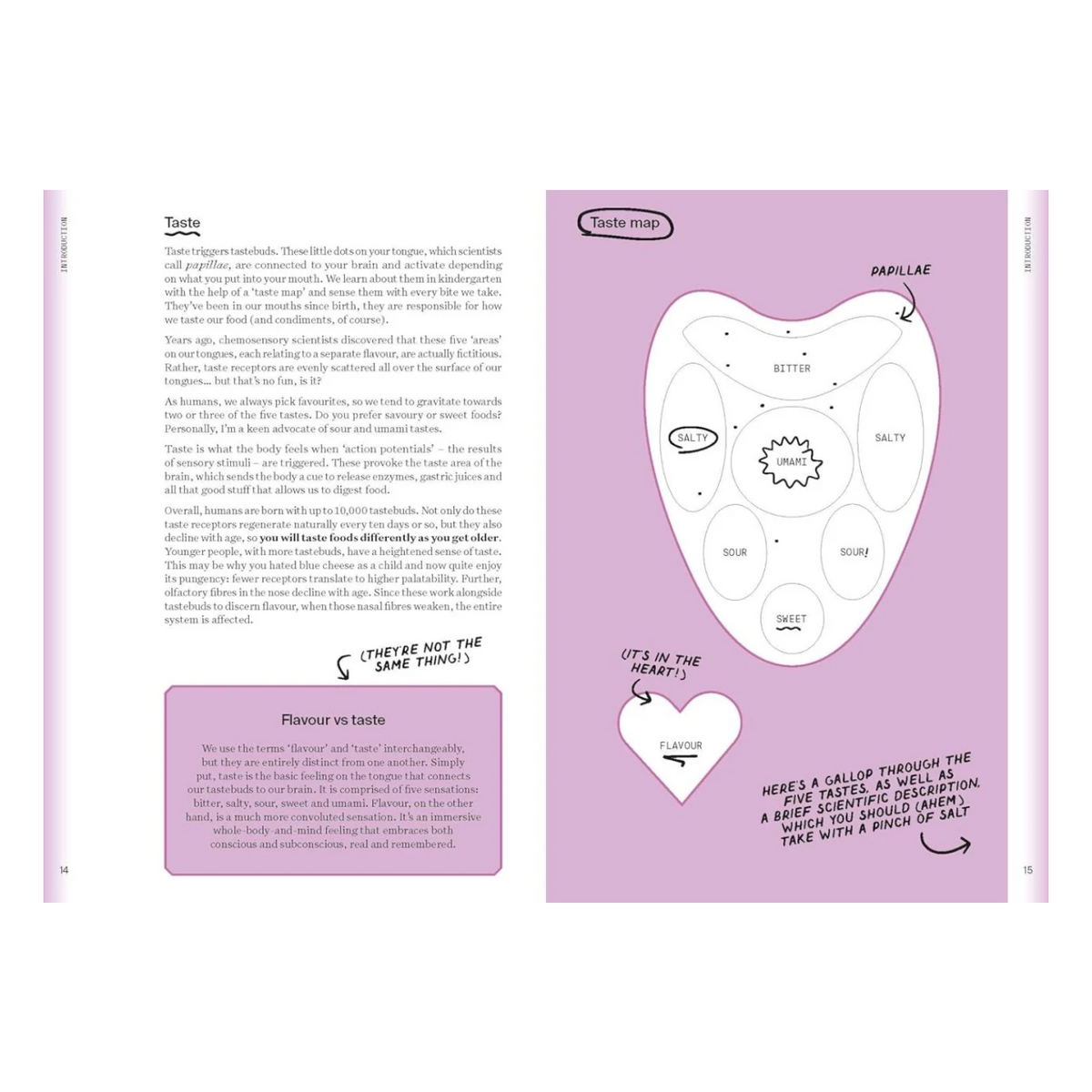 The Condiment Book - Claire Dinhut – The Consortium Winchester and ...